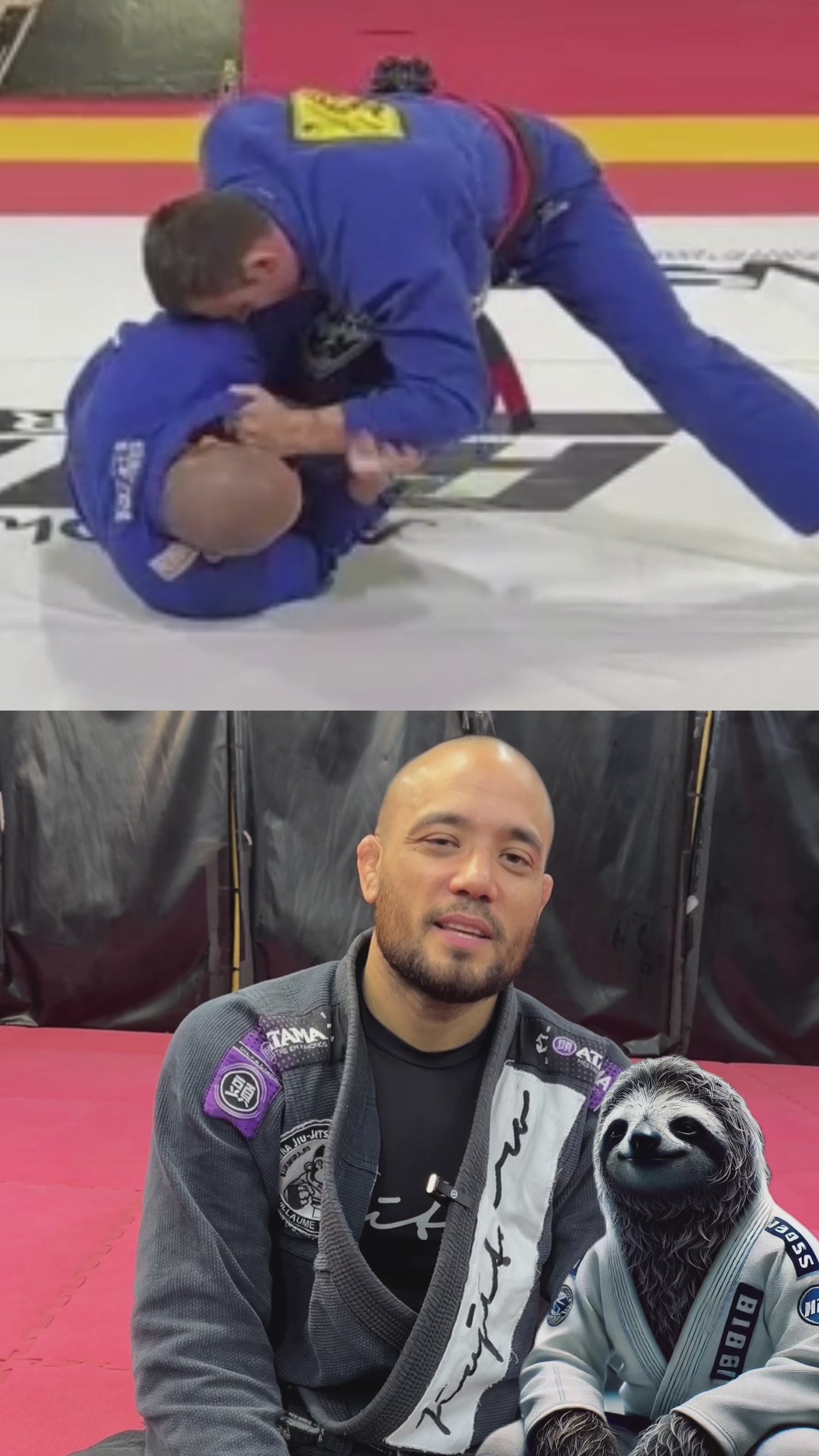 SLOTH Jiu-Jitsu - Roll like a Sloth – BJJEE Shop